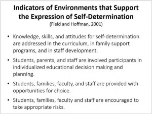 Self-Determination - Learning for All